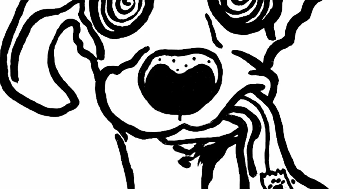 Eyrah invite Dog on Acid | France | Rinse FM